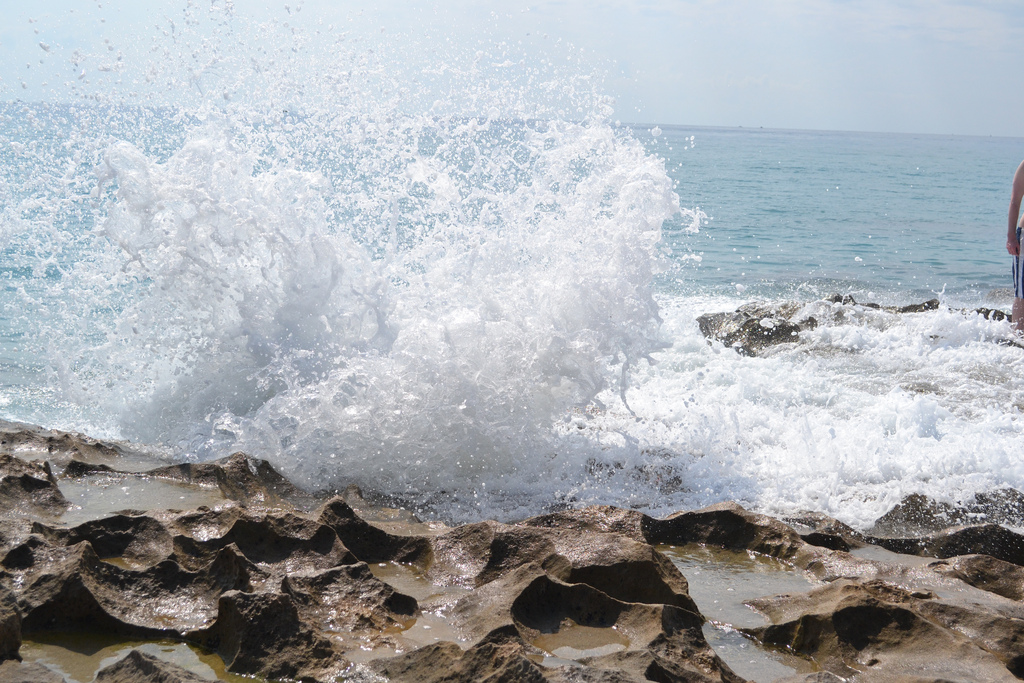 Singer Island Wave 7 | Elisabeth & Kurt Fleischner